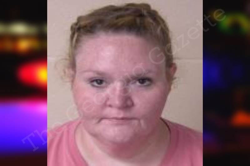 Allison Ritchey — Walker County Jail Bookings