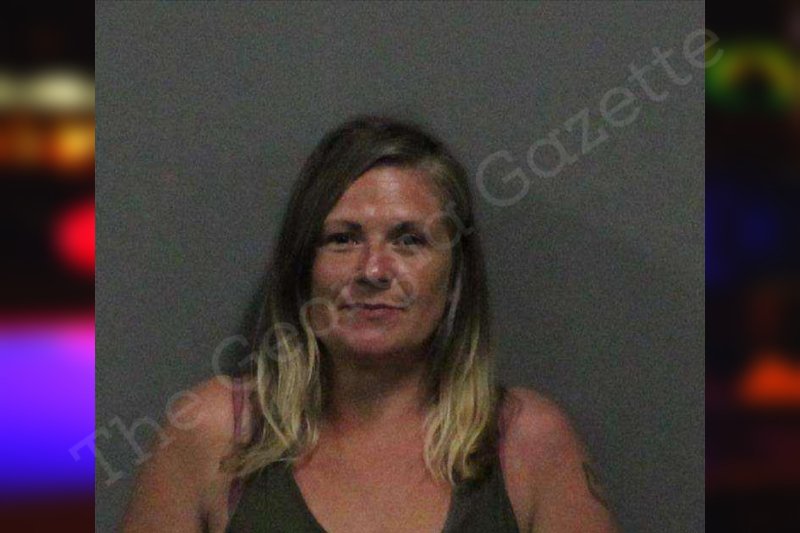 Brandy Roberson — White County Jail Bookings