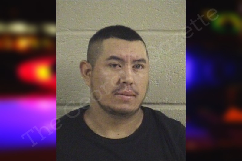 Jose Rojas-Rangel — Whitfield County Jail Bookings