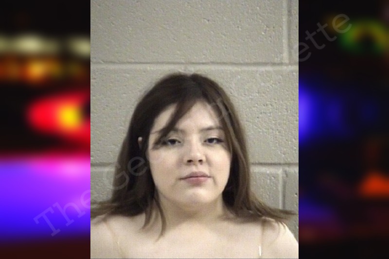 Belinda Ruelas — Whitfield County Jail Bookings