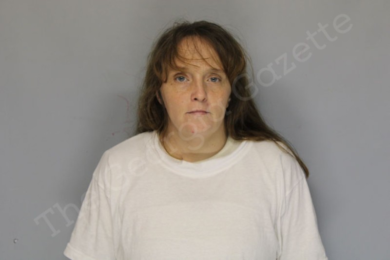 Tonya Sanford — Hall County Jail Bookings