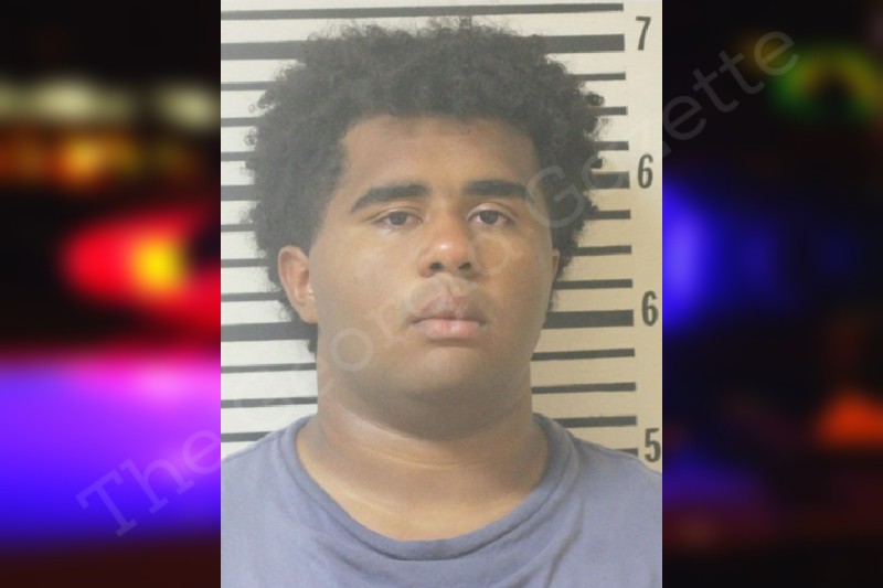 Gavin Singleton — Toombs County Jail Bookings