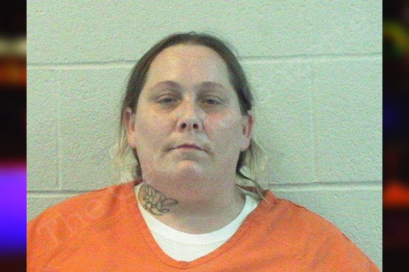 Tasha Singleton — Stephens County Jail Bookings