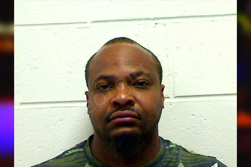 Jamie Springer — Bulloch County Jail Bookings