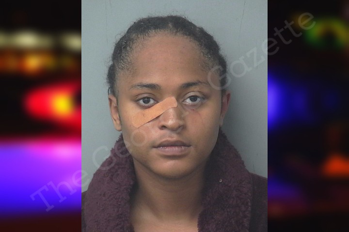 Warren Turner — Gwinnett County Jail Bookings