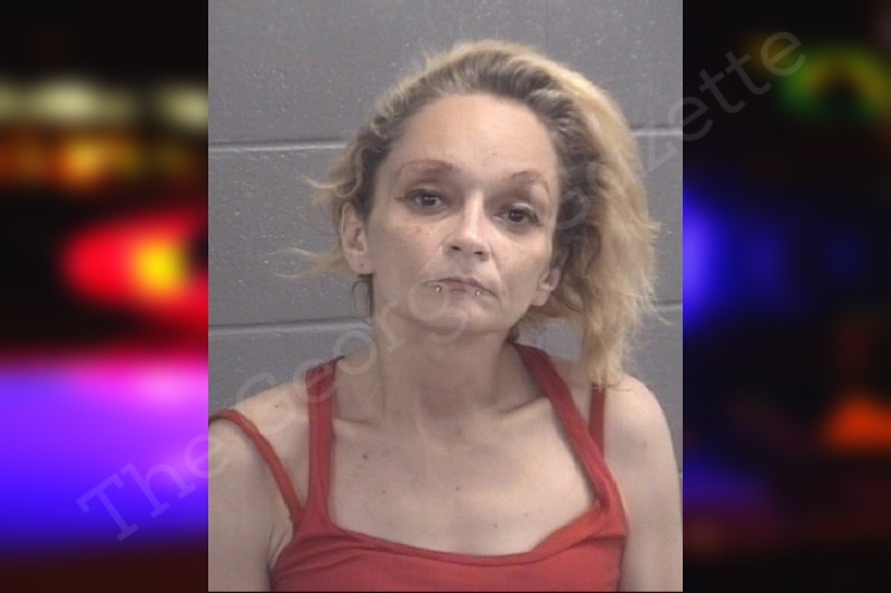 Jennifer Tindle — Spalding County Jail Bookings