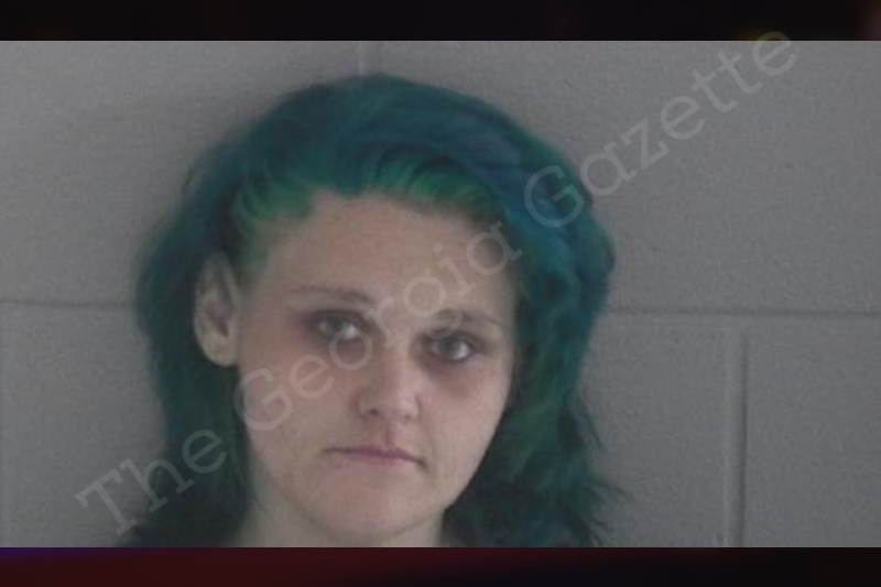 Cheyenne Turner — Brantley County Jail Bookings