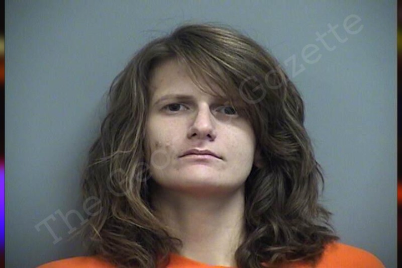 Jessika Turner — Effingham County Jail Bookings