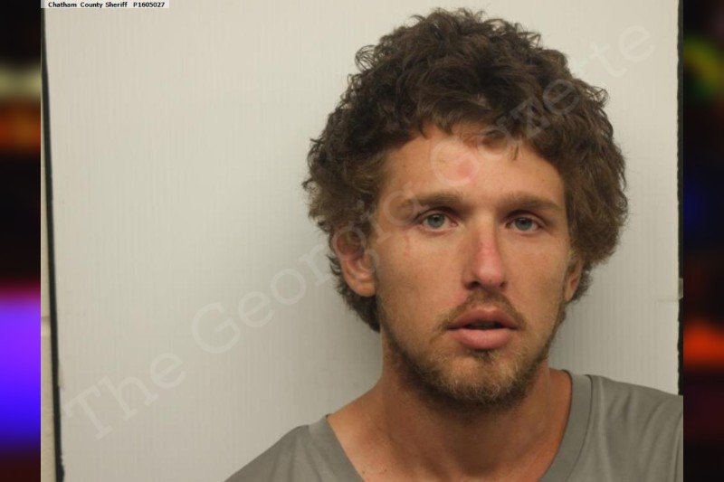 David Turton — Chatham County Jail Bookings