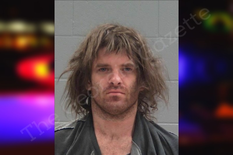 Donald Wacenske — Baldwin County Jail Bookings Donald Wacenske — Baldwin County Jail Bookings