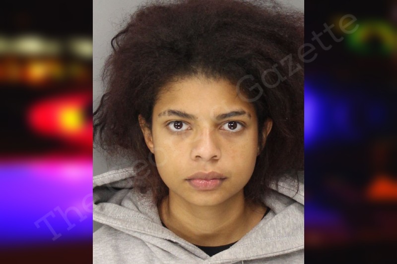 Elizabeth Waldon — Cobb County Jail Bookings