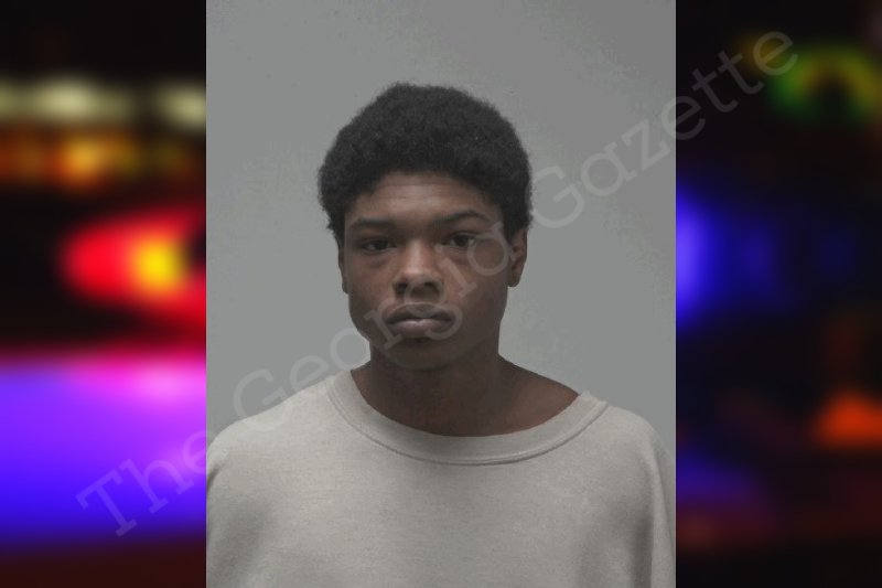 Kristin Warner — Coweta County Jail Bookings