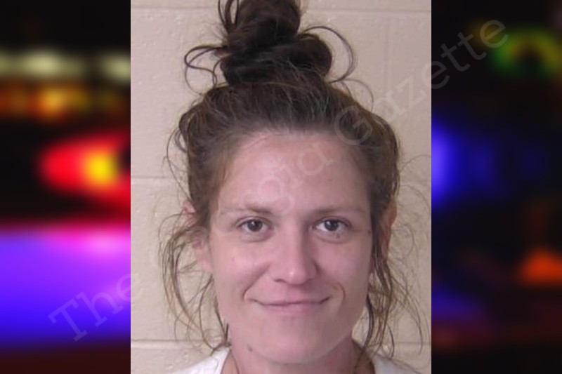 Casey Weaver — Walker County Jail Bookings