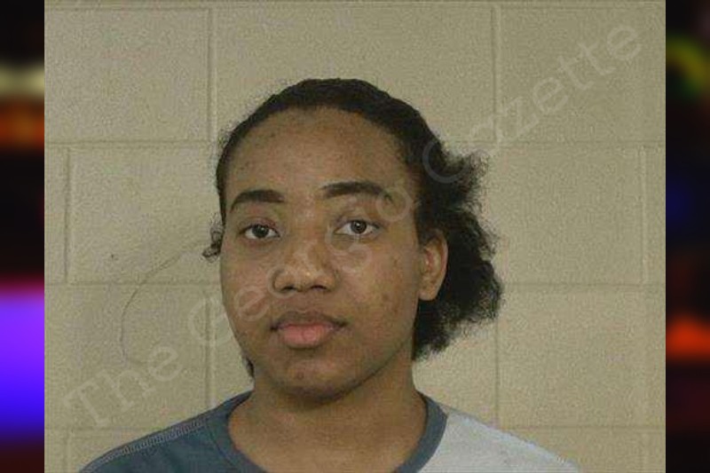 Raven Weaver — Liberty County Jail Bookings