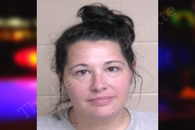Lori Williams — Walker County Jail Bookings
