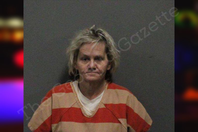 Staci Wilson — White County Jail Bookings