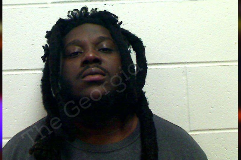 Dodi Young — Bulloch County Jail Bookings