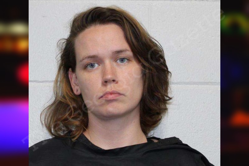 Jaymie Zeppa — Habersham County Jail Bookings