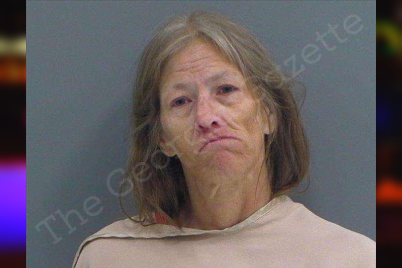Jennifer Albertson — Rabun County Jail Bookings