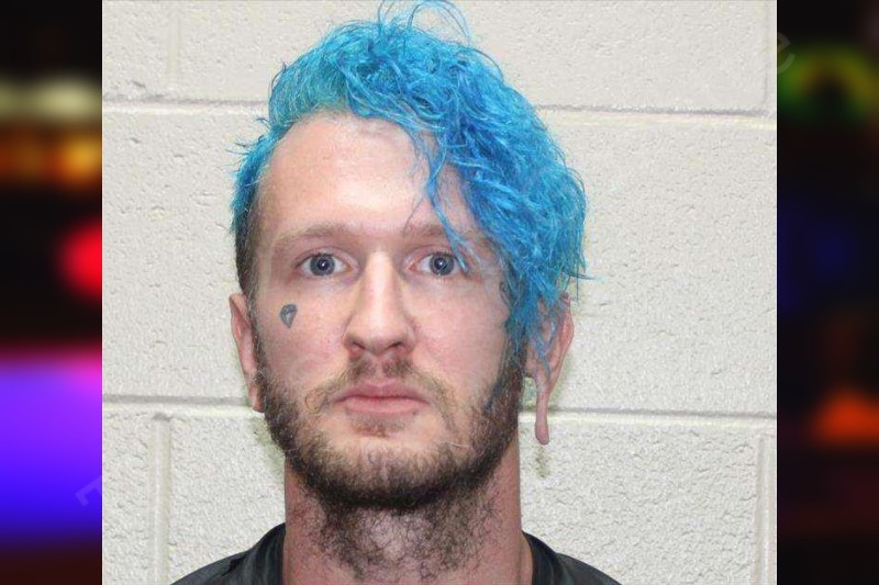 Michael Allen — Haralson County Jail Bookings