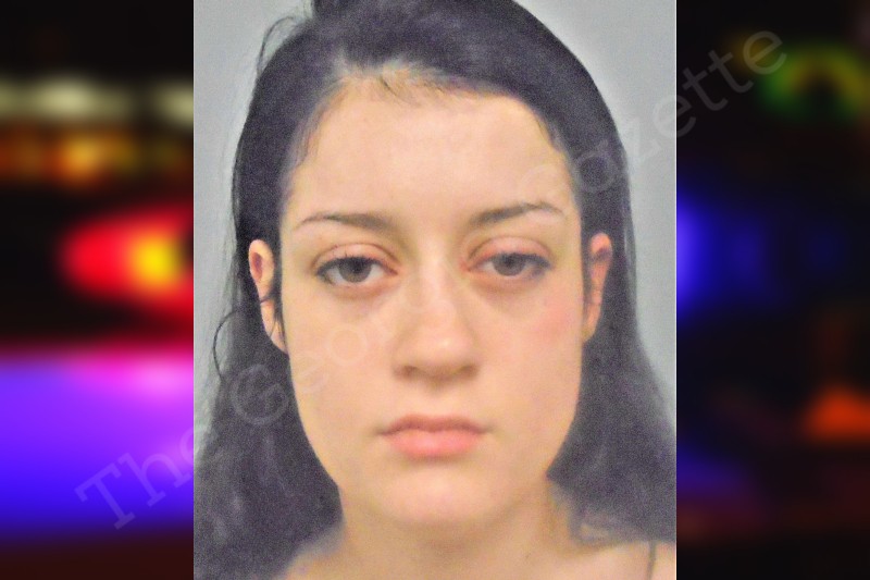 Hannah Beasley — Burke County Jail Bookings