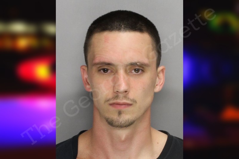 Dustin Bolick — Cobb County Jail Bookings