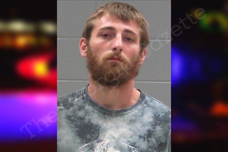 Darrell Bridges — Baldwin County Jail Bookings