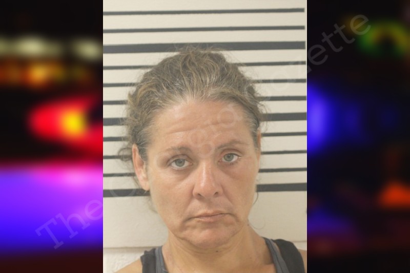Nichole Bronson — Toombs County Jail Bookings