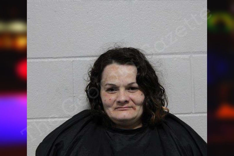 Teresa Bruce — Habersham County Jail Bookings