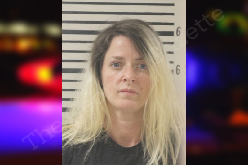 Meagan Bryson — Toombs County Jail Bookings