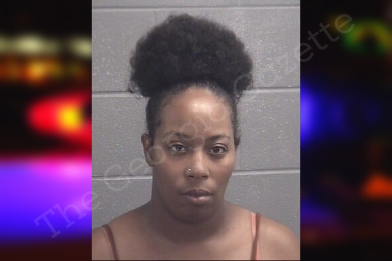 Bianca Bailey — Spalding County Jail Bookings