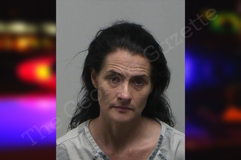 Holly Bailor — Tift County Jail Bookings