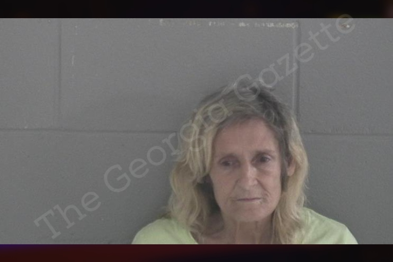 Debra Beaver — Brantley County Jail Bookings