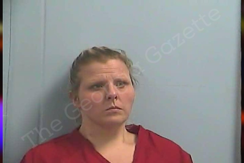 Jennifer Boyett — Dawson County Jail Bookings