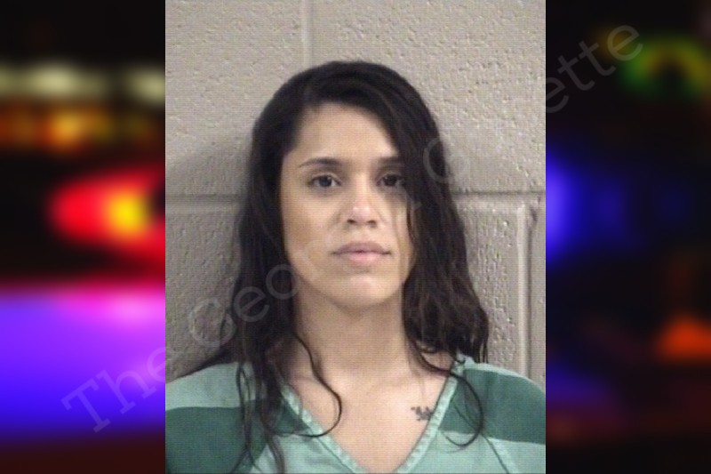 Tasha Bridges — Whitfield County Jail Bookings