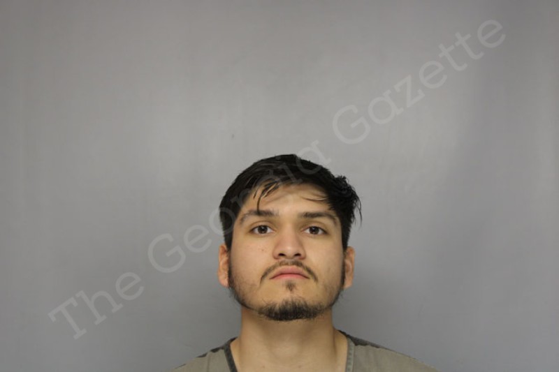 Wilfredo Castillo — Hall County Jail Bookings