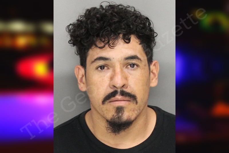 Angel Castro — Cobb County Jail Bookings