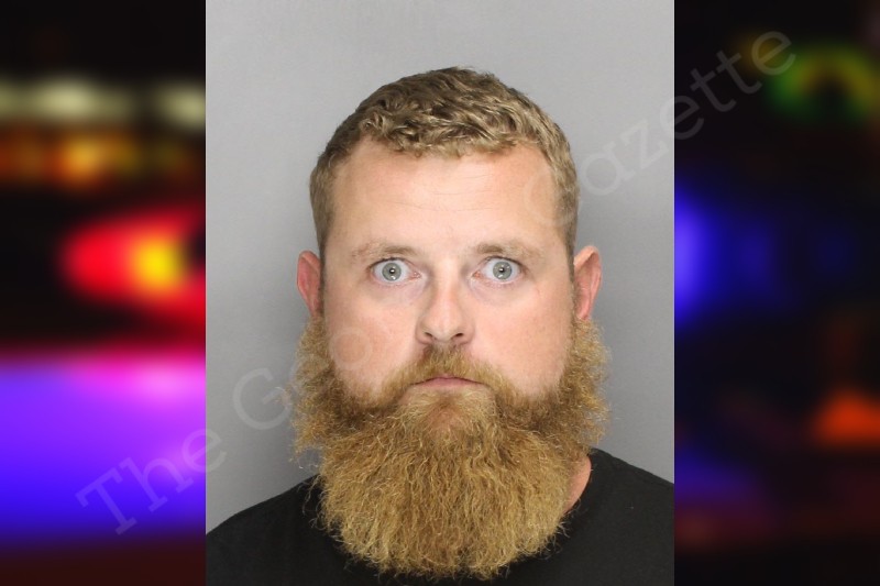 David Cheek — Cobb County Jail Bookings