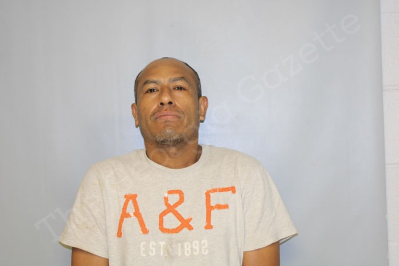 Mario Clemente — Hall County Jail Bookings