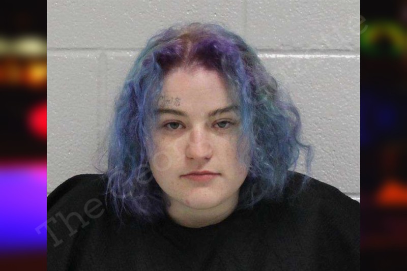 Alexis Cook — Carroll County Jail Bookings