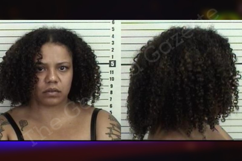 Jaqueline Casimir — Camden County Jail Bookings Jaqueline Casimir — Camden County Jail Bookings
