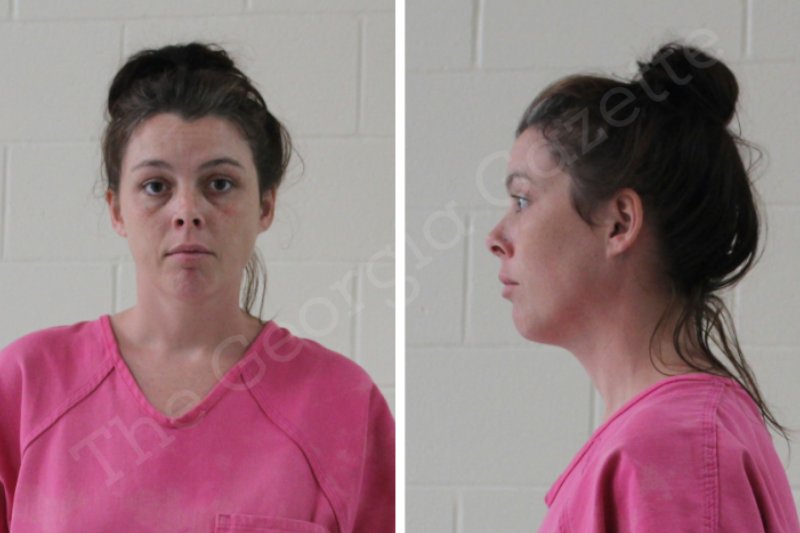 Monica Collins — Houston County