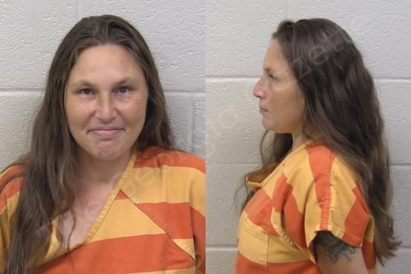 Cassandra Crocker — Paulding County Jail Bookings