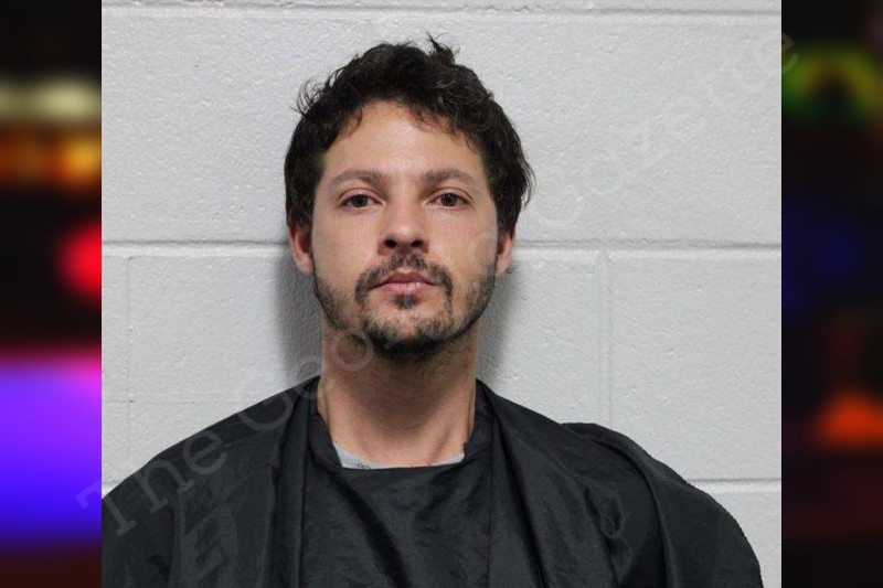 David Daniel — Habersham County Jail Bookings