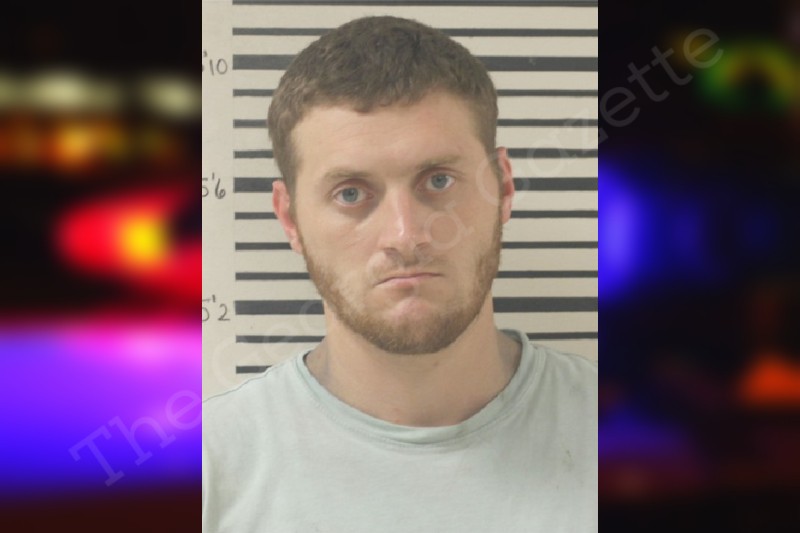 Austin Dawson — Toombs County Jail Bookings