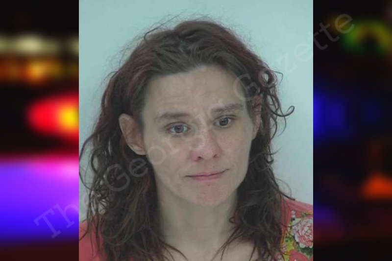 Jessica Dodson — Fayette County Jail Bookings