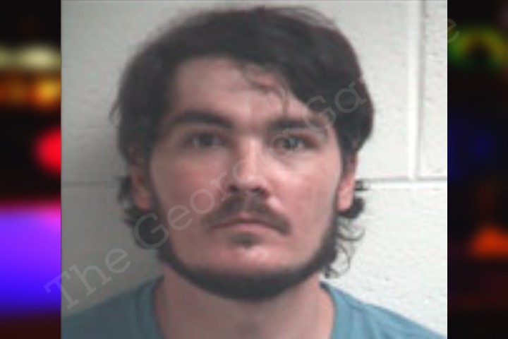 Christian Dutton — Henry County Jail Bookings
