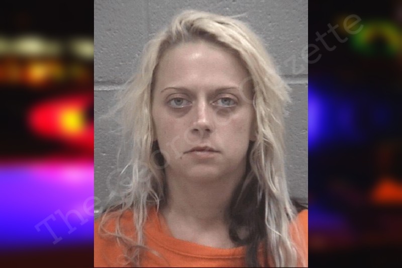 Krystal Ellis – The Georgia Gazette