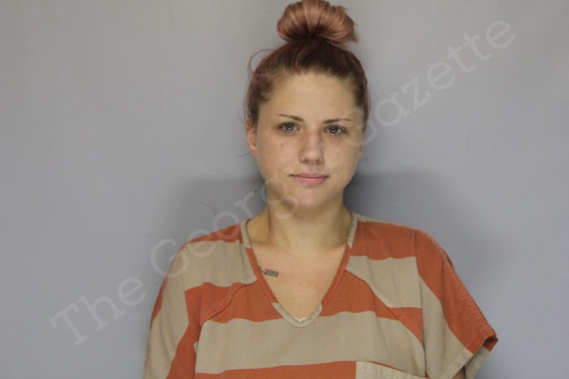 Chelsea Evans — Hall County Jail Bookings
