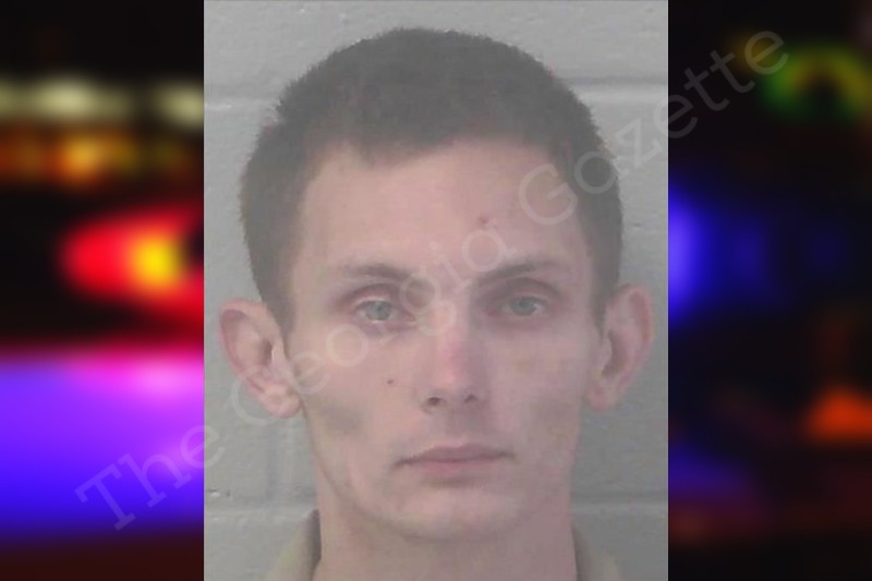 Luke Fowler — Newton County Jail Bookings